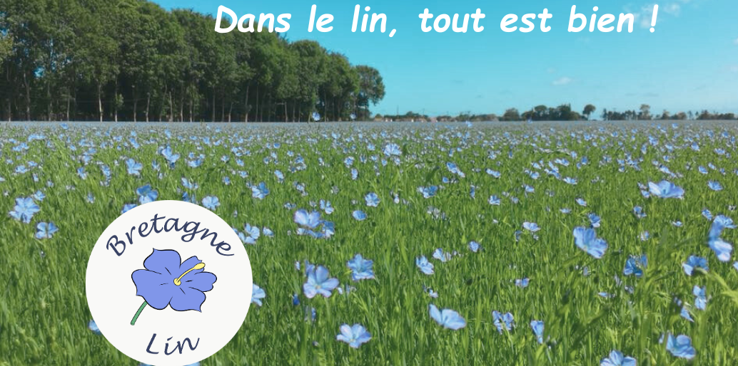 Contactez-nous - Bretagne Lin